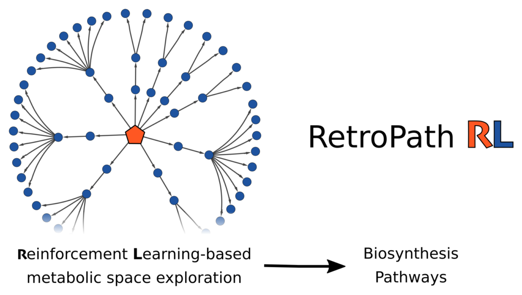 RetroPath RL: Reinforcement Learning for Bioretrosynthesis, ACS ...